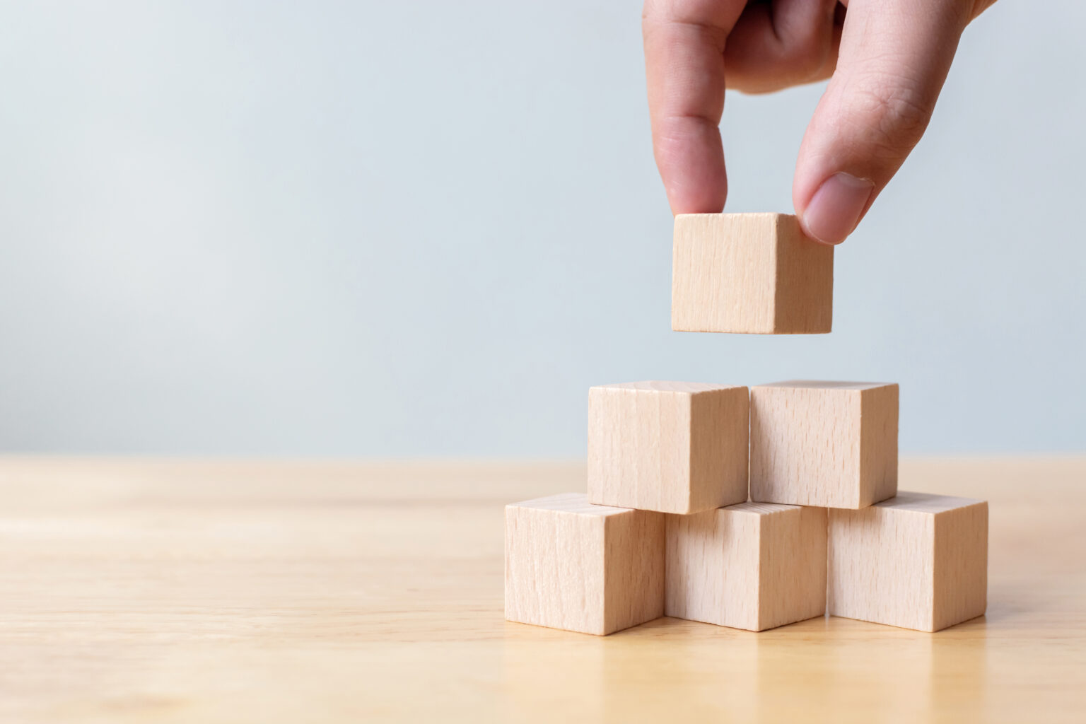 Organizational Life Cycles: 4 Key Business Functions & The Role They ...